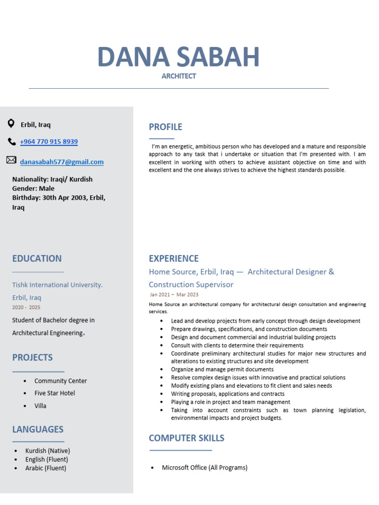 Dana Sabah, CV | PDF | Autodesk