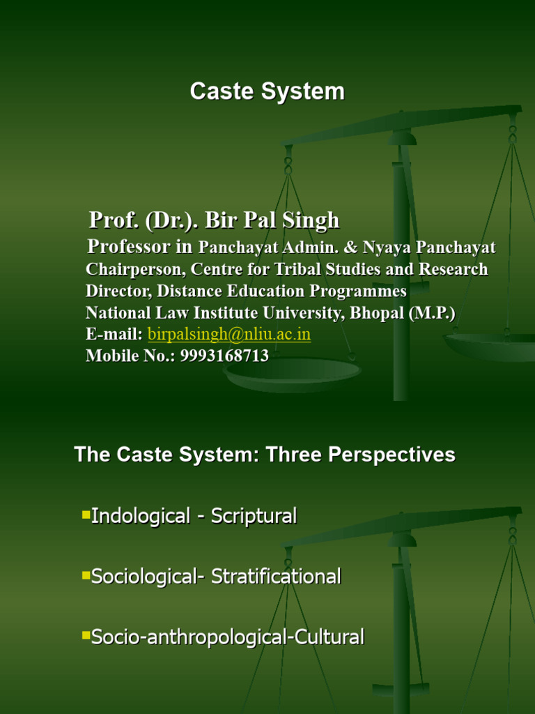 Hierarchy and Caste System1 | PDF | Dalit | Caste