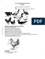 Poultry Fold Video | PDF