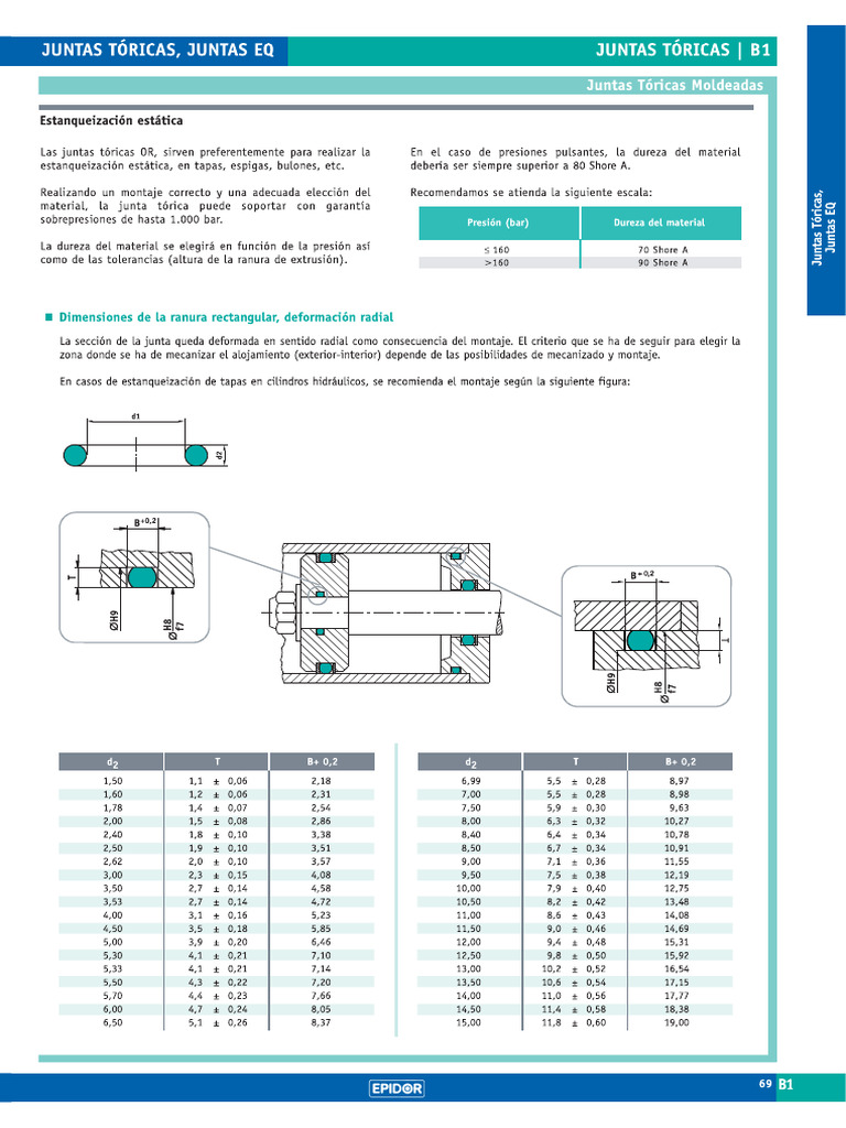 Toricas Alojamientos | PDF