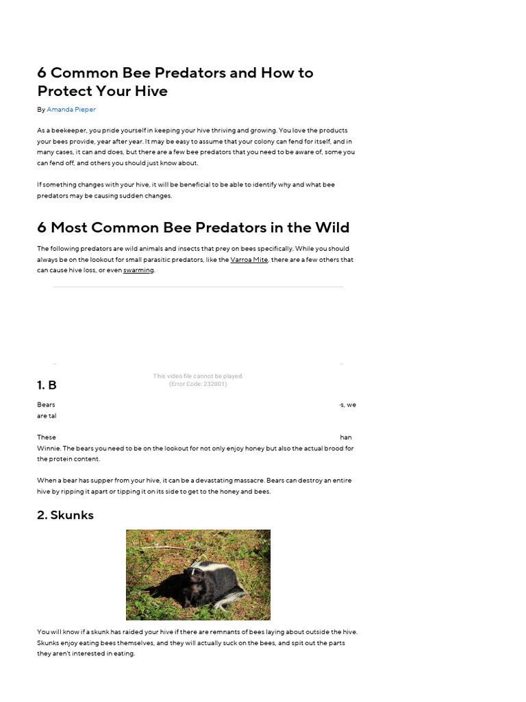 6 Common Bee Predators and How To Protect Your Hive | PDF | Honey Bee ...