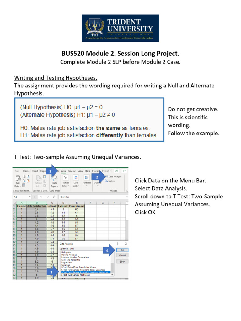 BUS520 SLP2 Assignment Guide | PDF | Career & Growth | Teaching Methods & Materials
