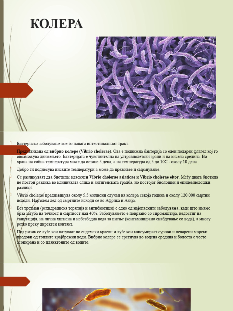 Kolera | PDF