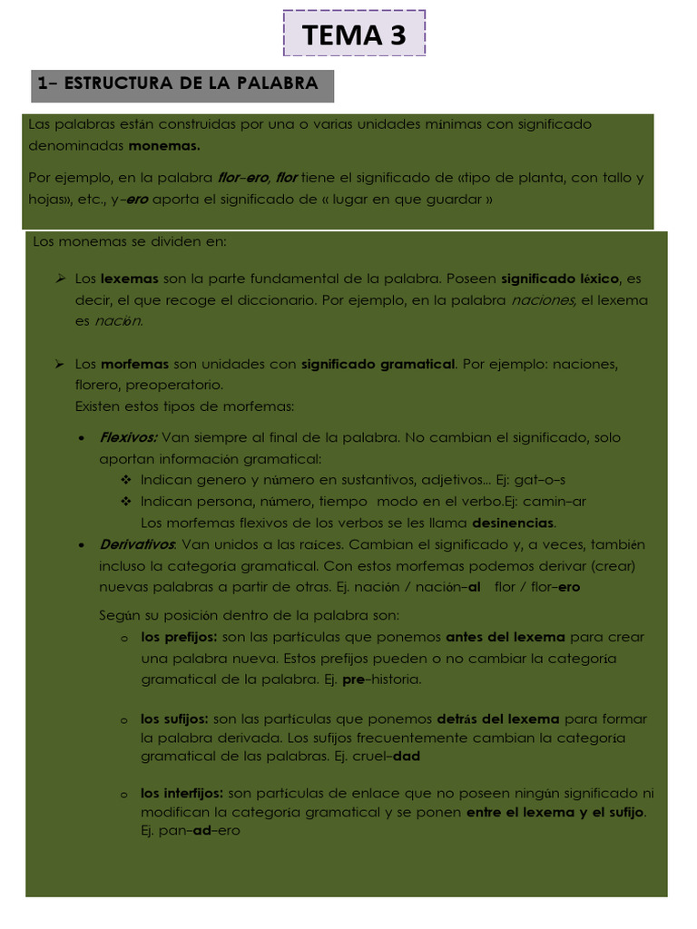 TEMA 3 - Estructura y Formación de Palabras | PDF | Palabra | Lexicología
