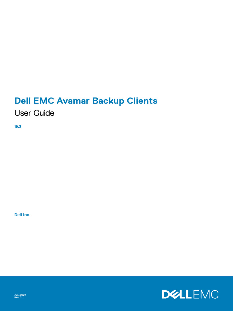 Avamar Backup Clients User Guide 19.3 | PDF | Installation (Computer ...