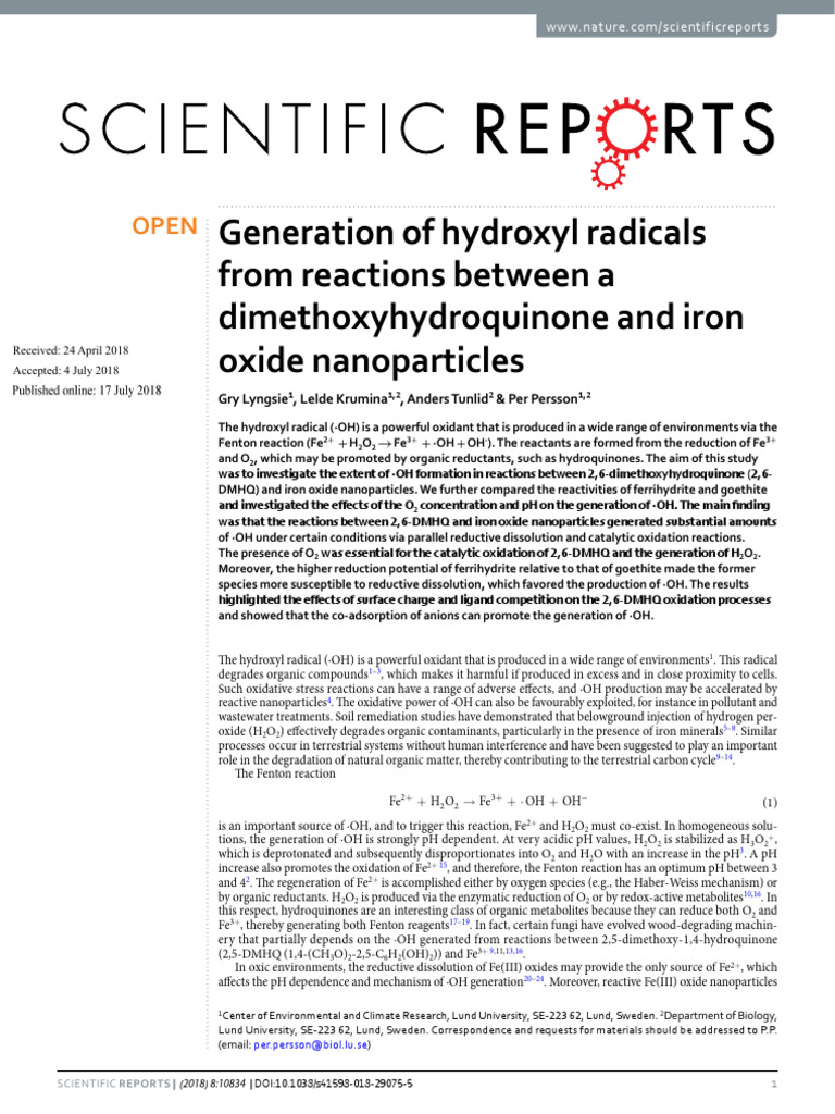 Generation of Hydroxyl Radicals | PDF | Adsorption | Redox