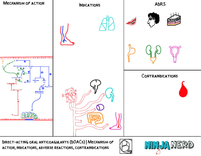 DOACs: Uses, Risks, and Mechanism | PDF | Molecular Biology | Pharmacology