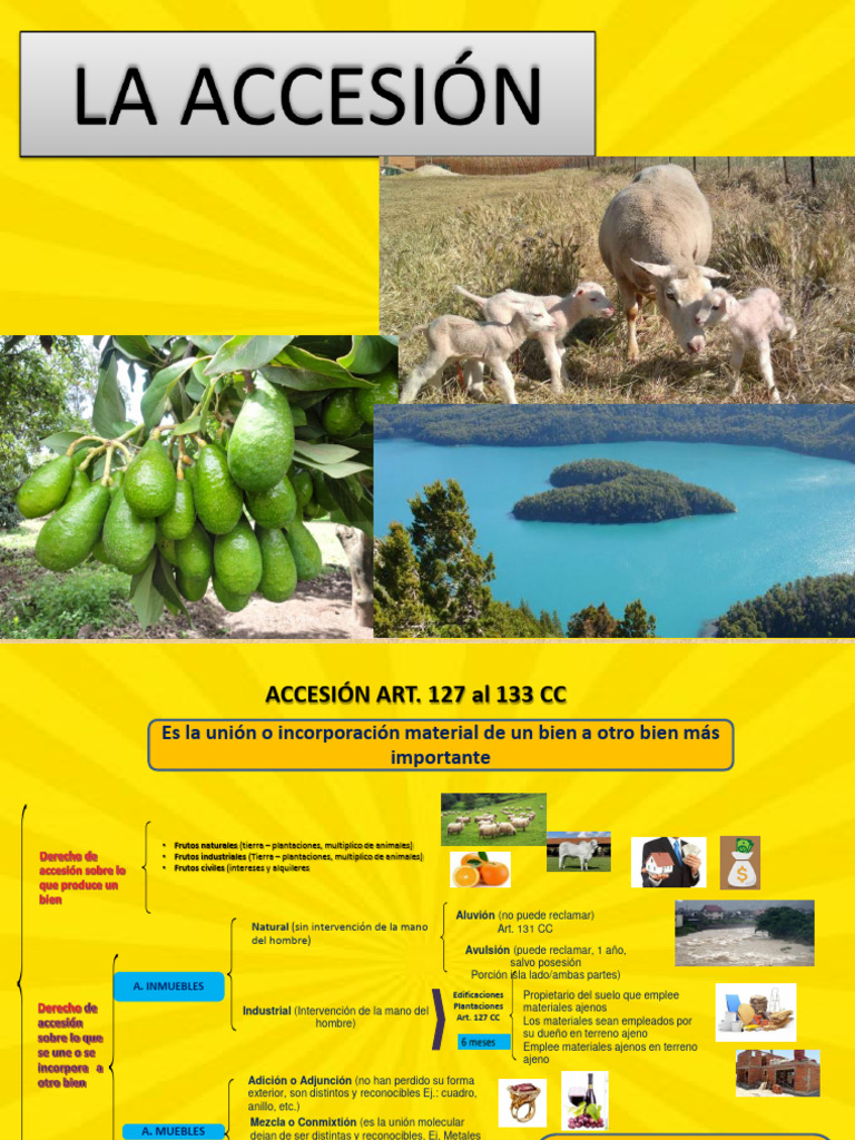 Tema 16 Accesión | PDF | Propiedad