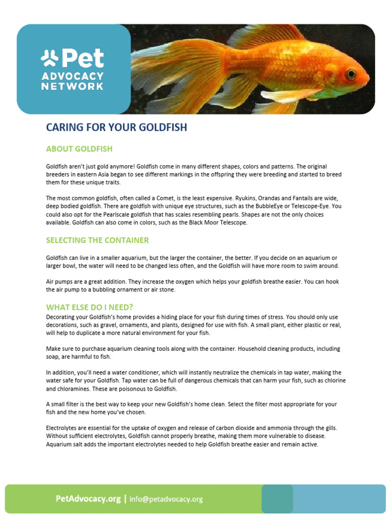Goldfish Care Guide: Setup & Maintenance | PDF | Aquarium