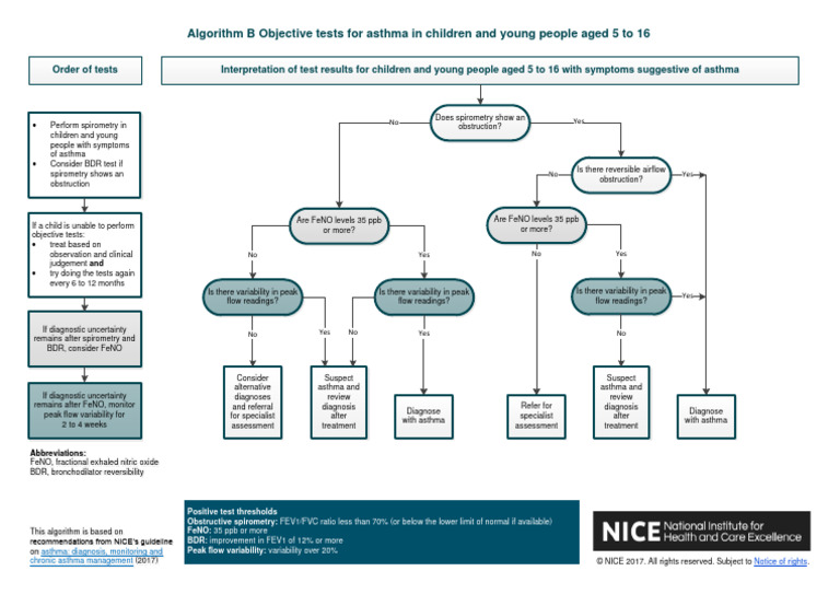 Algorithm B Objective Tests For Asthma in Children and Young People ...