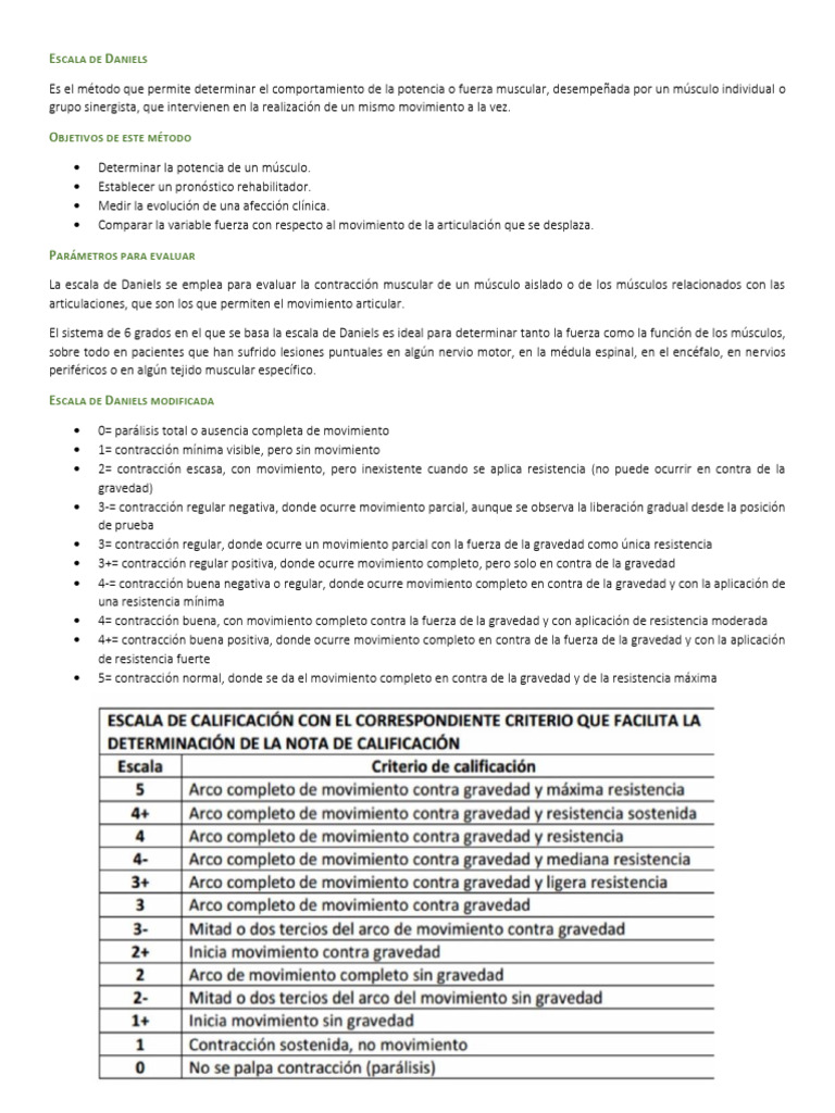 Escala S | PDF | Músculo esquelético | Contracción muscular
