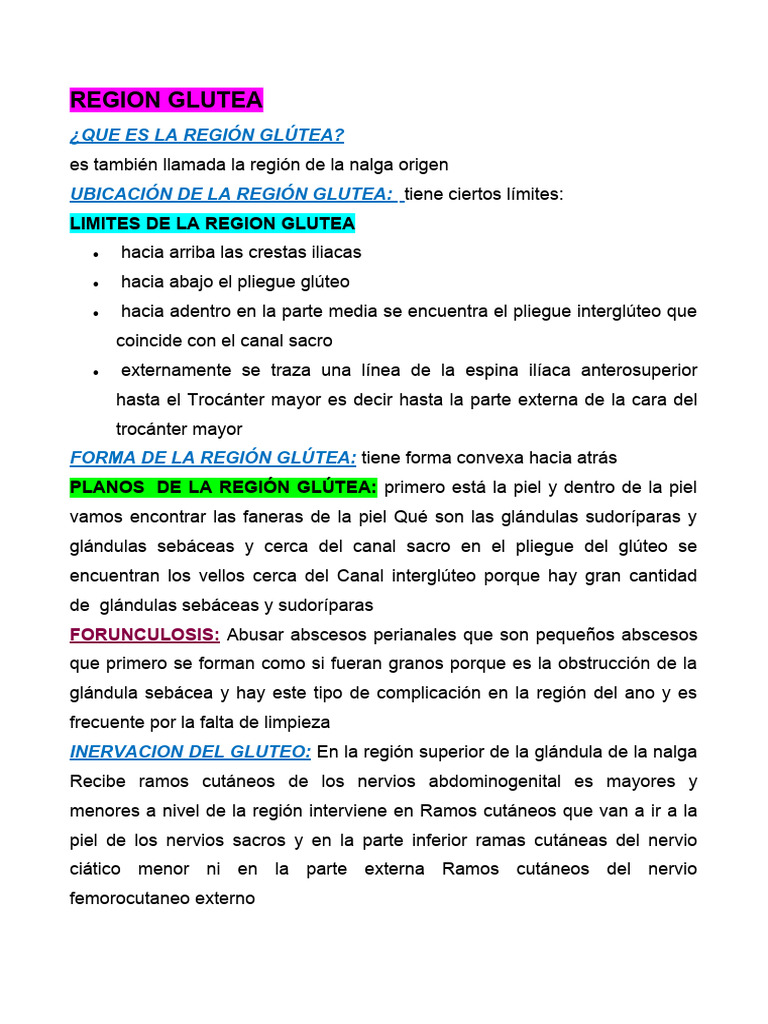 Anatomía y Función de la Región Glútea | PDF | Extremidades (anatomía ...