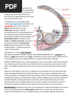 Gerota's Fascia: Anatomy and Imaging Insights | PDF | Kidney | Medical ...