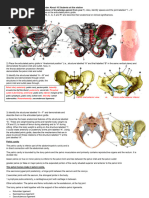 Understanding SIJ: Form and Force Closure | PDF | Pelvis | Vertebral Column