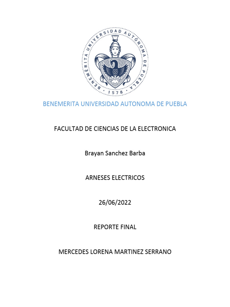 Reporte Final | PDF