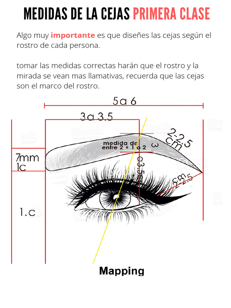 Plantillas para La Practicas de La Primera Clase de Cejas Perfectas | PDF