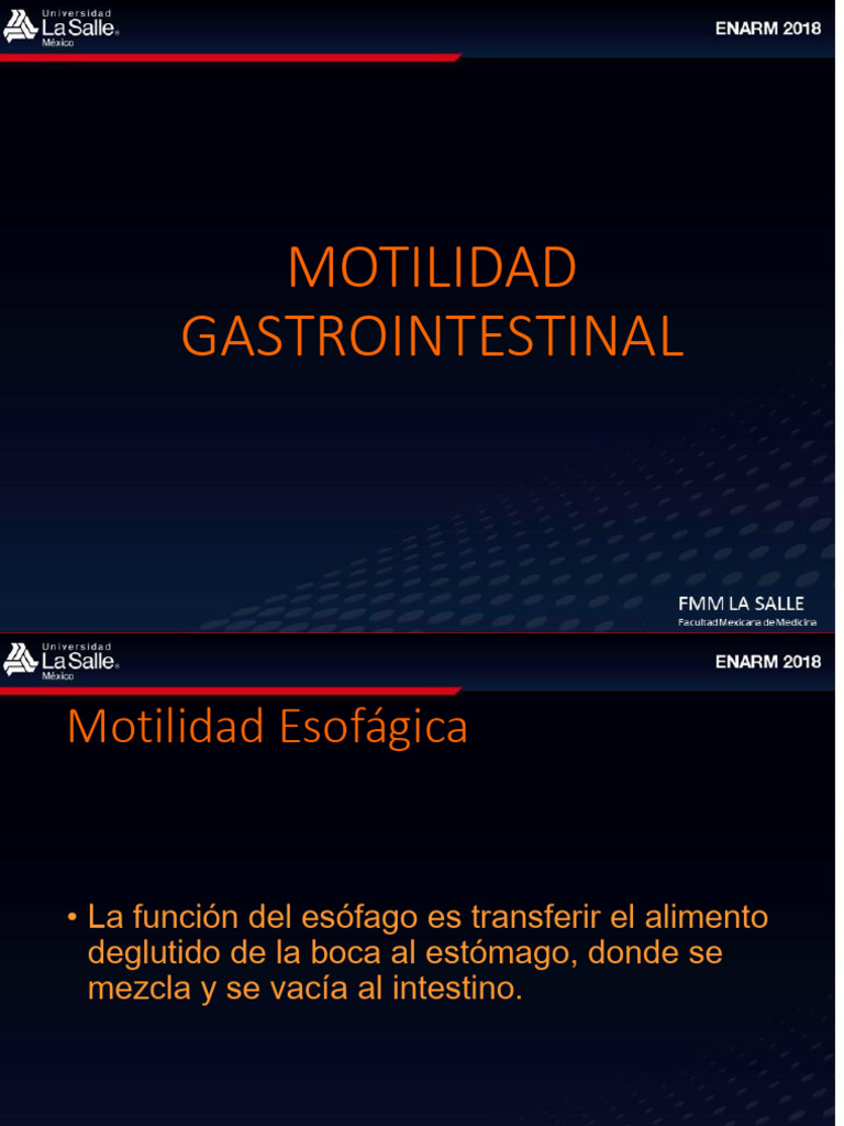 Gastroenterología - Motilidad Gastrointestinal | Descargar gratis PDF ...