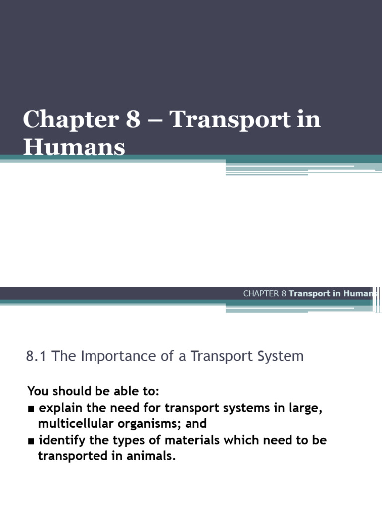 Chapter 08 - Transport in Humans | PDF | Atrium (Heart) | Heart