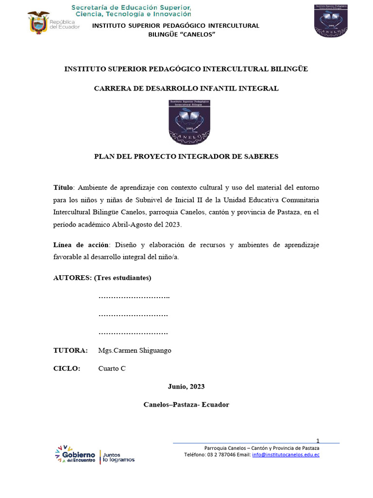 Ejemplo del plan del PIS - ISPIBC - Cecy - copia | PDF | Plan de ...