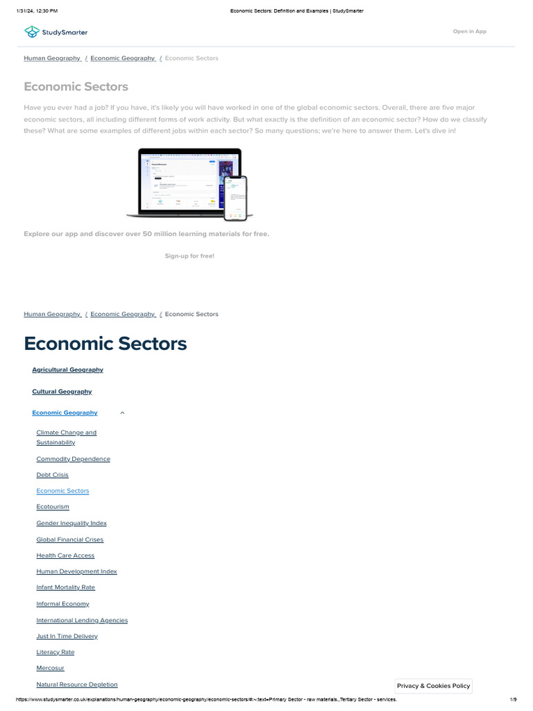 Economic Sectors - Definition and Examples - StudySmarter | PDF ...