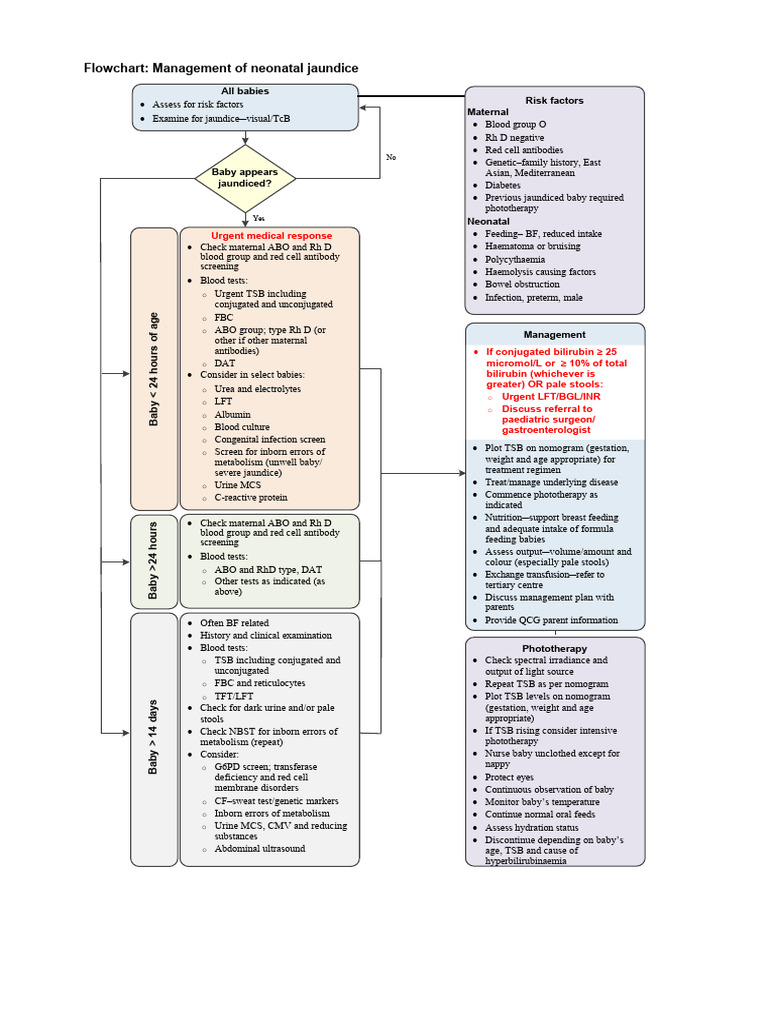 Neonatal Jaundice Management Flowchart | PDF | Clinical Pathology ...