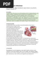 Uropol Forte: Uso y Composición | PDF | Orina | Medicamentos con receta