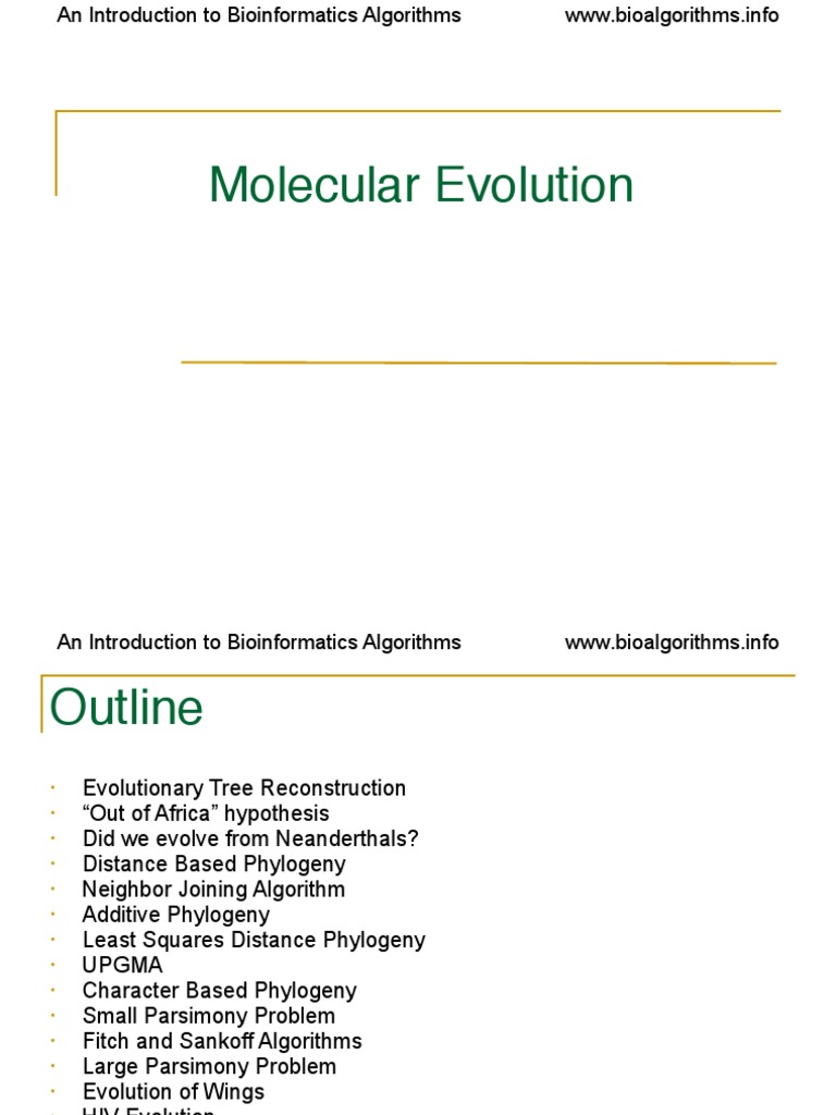Molecular Evolution | PDF | Phylogenetic Tree | Occam's Razor