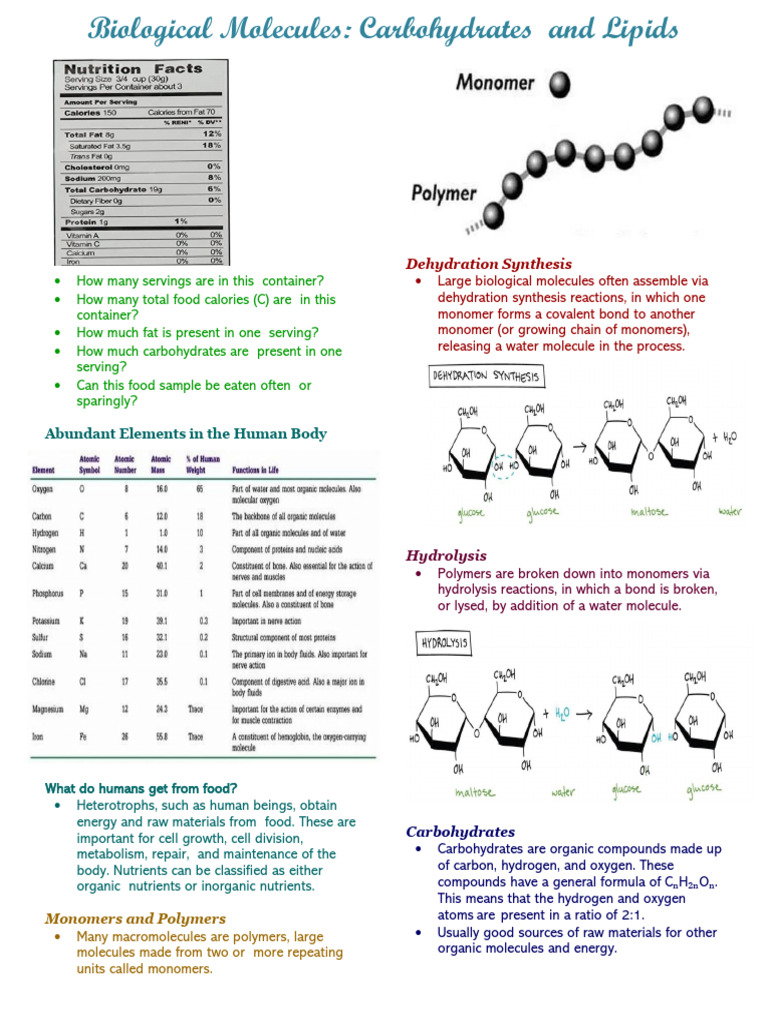Carbohydrates and Lipids | PDF | Lipid | Carbohydrates
