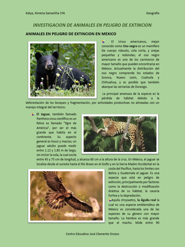 Triptico de Geografia - Investigacion de Animales - Samanta, Ximena y ...