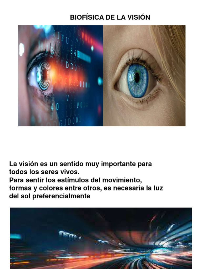 Biofísica de la Visión: Luz y Ojo | PDF | Ojo humano | Percepción visual