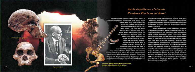9 Australopithecus Africanus Pemburu Pertama Di Dunia | PDF
