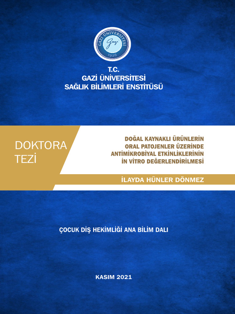 İlayda Hünler Dönmez 10431839 Tez | PDF