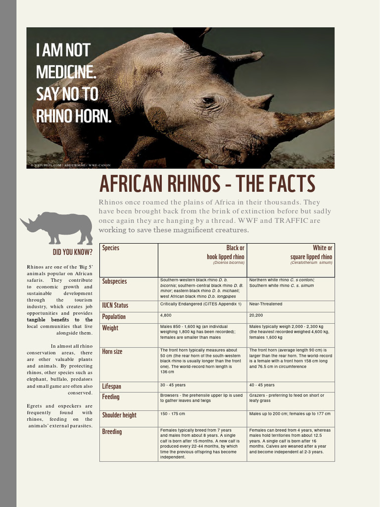 african_rhinos_-_the_facts | PDF | Rhinoceros