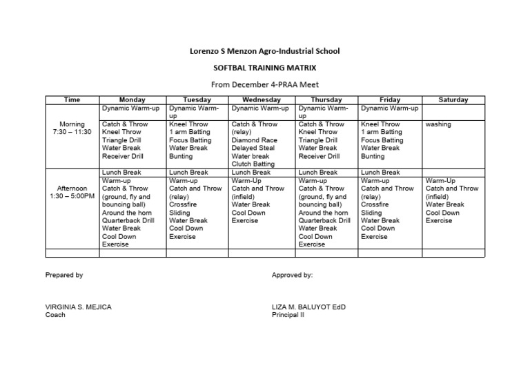 Training Matrix Softball | PDF | Softball | Batting (Baseball)