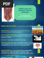 Exploración Física de la Región Inguinal | PDF | Examen físico | Pierna ...