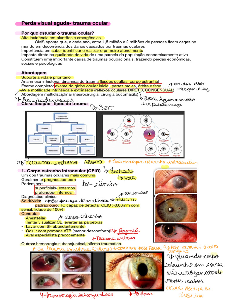 Trauma Ocular: Diagnóstico e Tratamento | PDF | Olho | Sistema visual