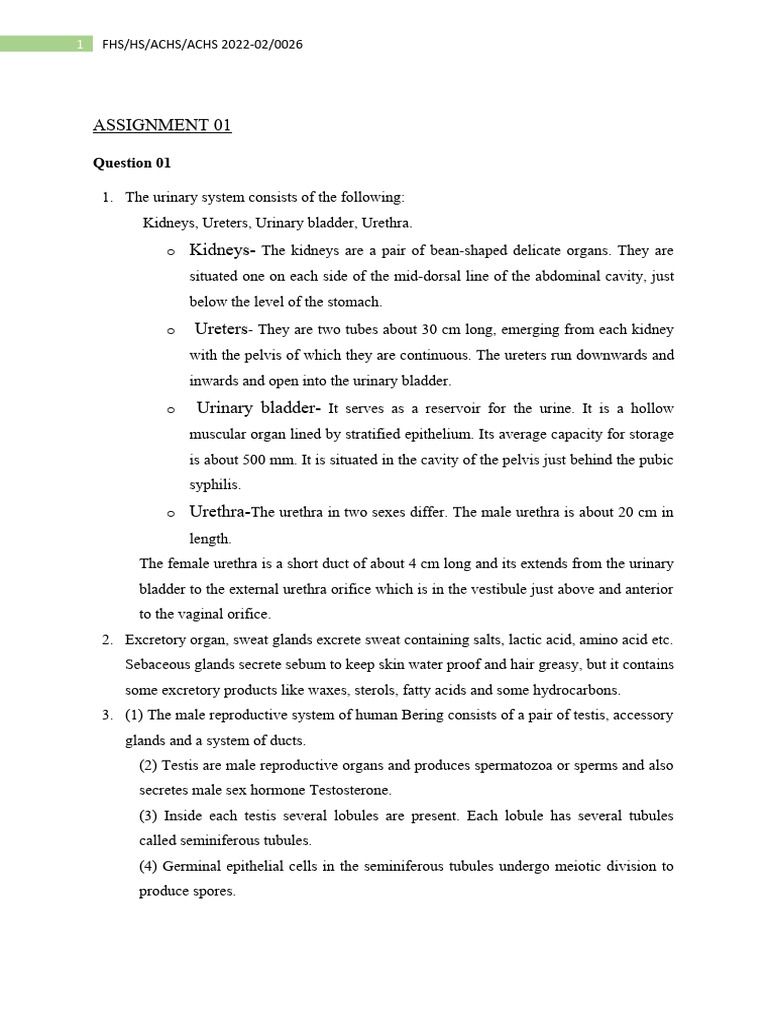 Biology Assignment 1,2 | Download Free PDF | Chemical Synapse | Neurotransmitter