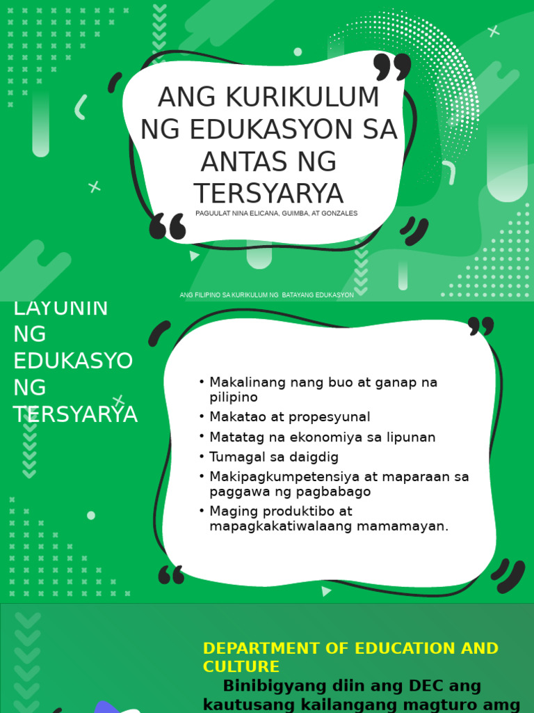 Ang Kurikulum NG Edukasyon Sa Antas NG Tersyarya | PDF