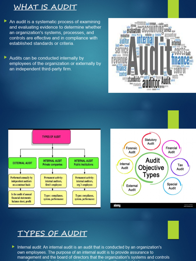 AUDIT | PDF | Audit | Financial Audit