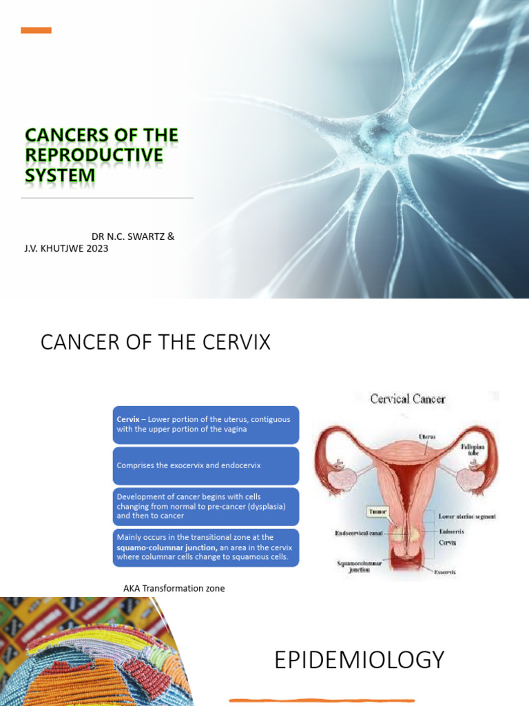 Reproductive System Cancers Bns 313 2023 | PDF | Prostate Cancer | Ovarian Cancer