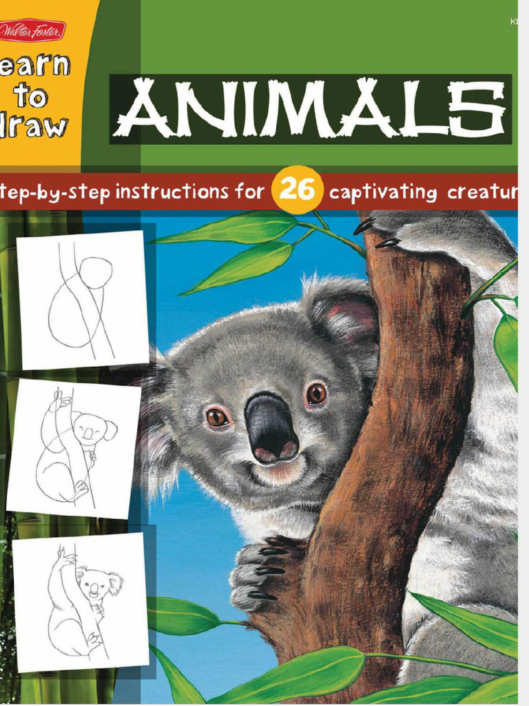 Step-by-Step Kangaroo Drawing Guide | PDF | Home & Garden