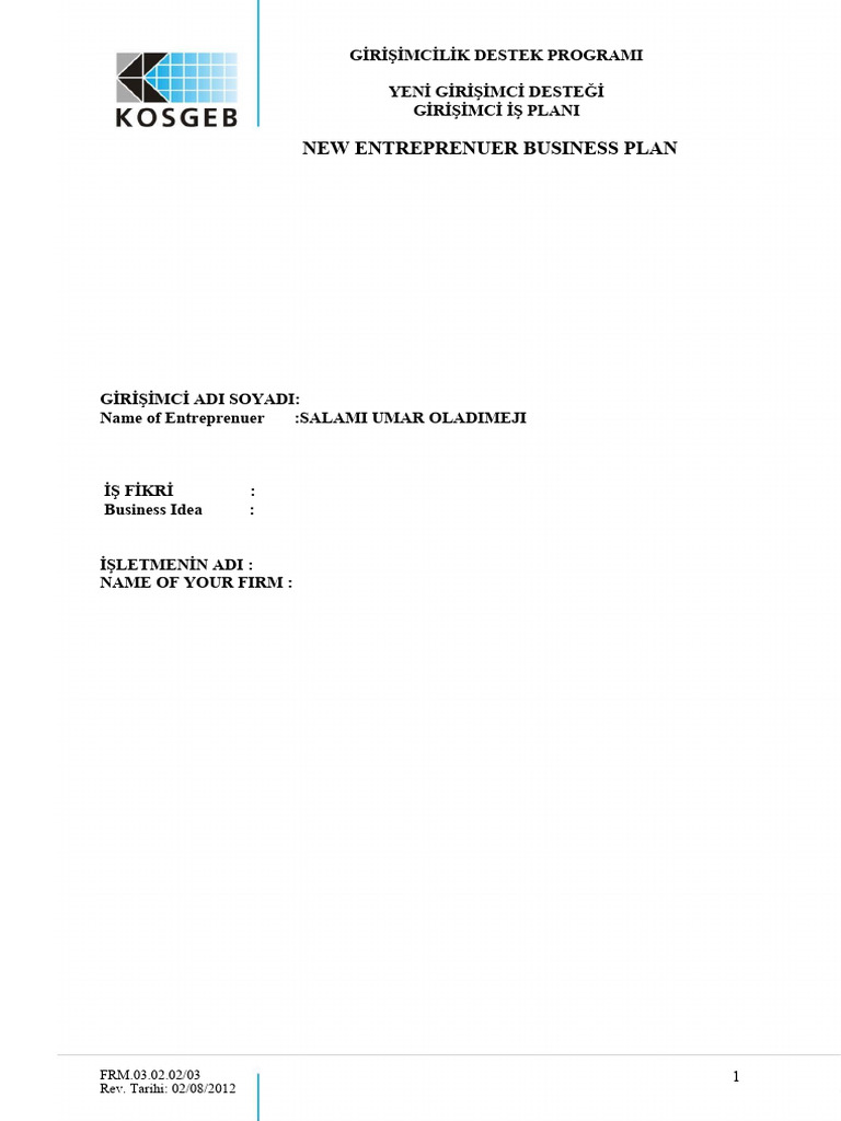 Bos Is Plani Empty Business Plan 2 | PDF