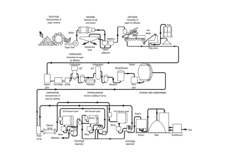 Sugar Rys Typical Layout in Sugar Beet Diffuser Process | PDF