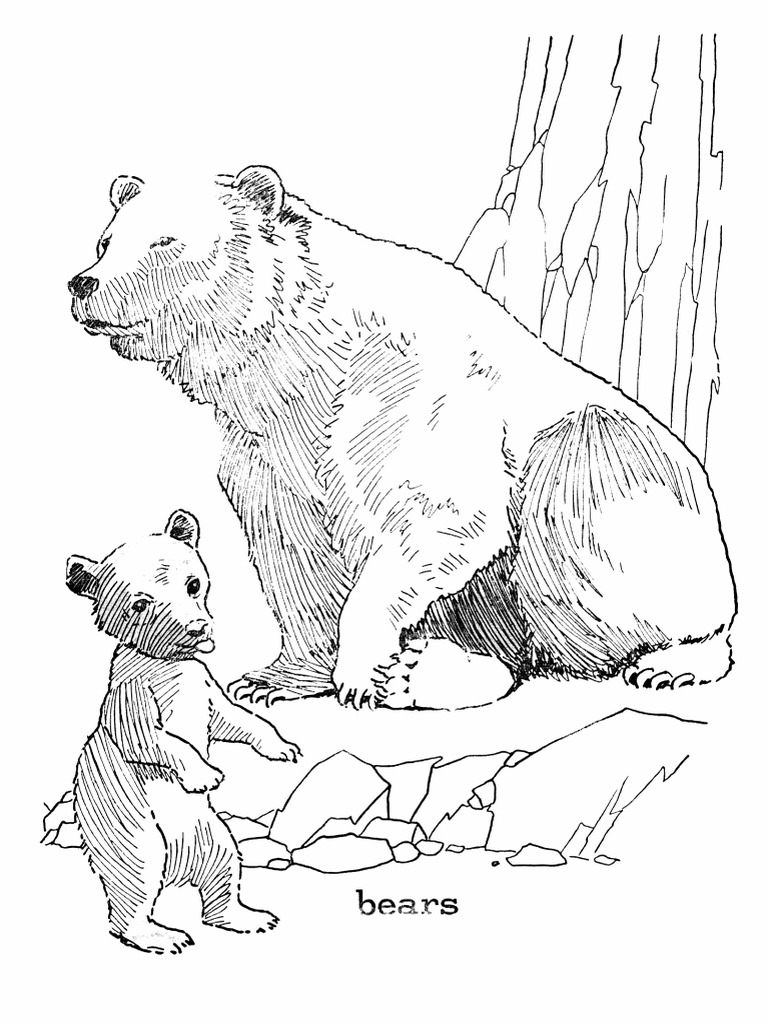 Bears Coloring Page GraphicsFairy | PDF