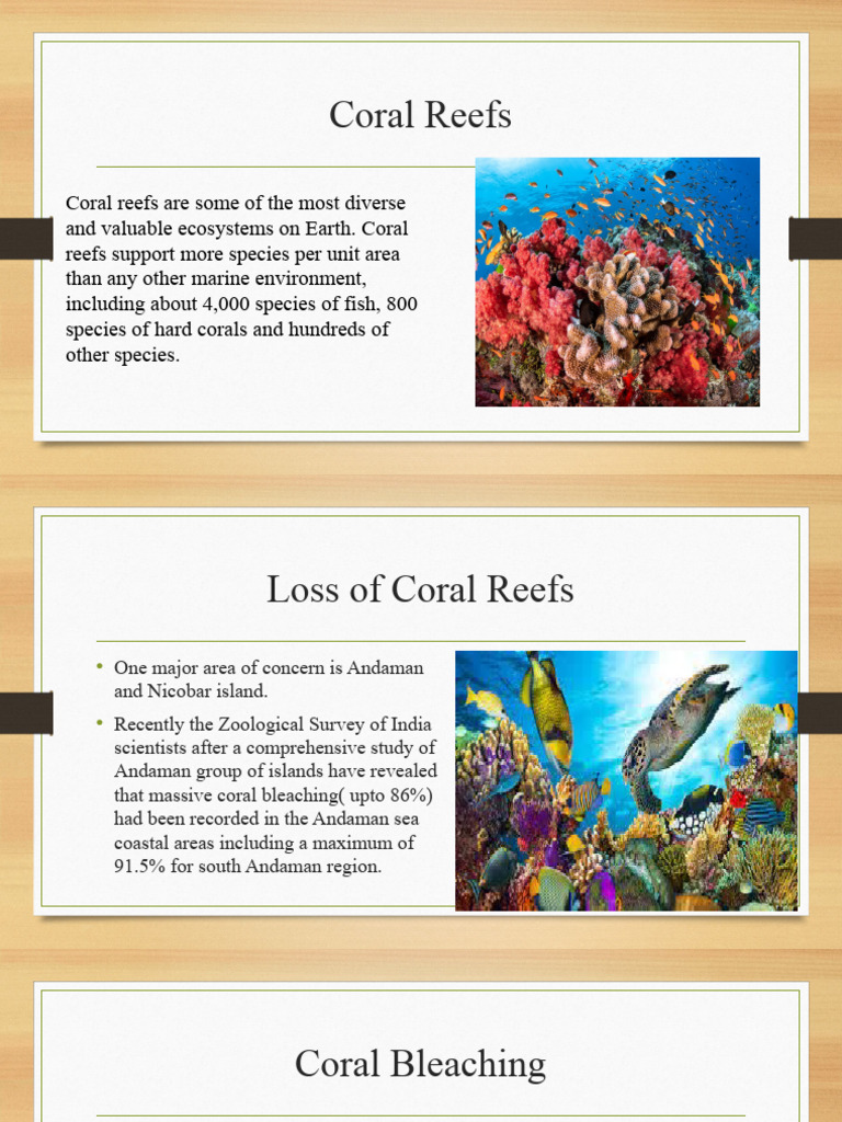 Coral Reefs Evs | PDF | Home & Garden
