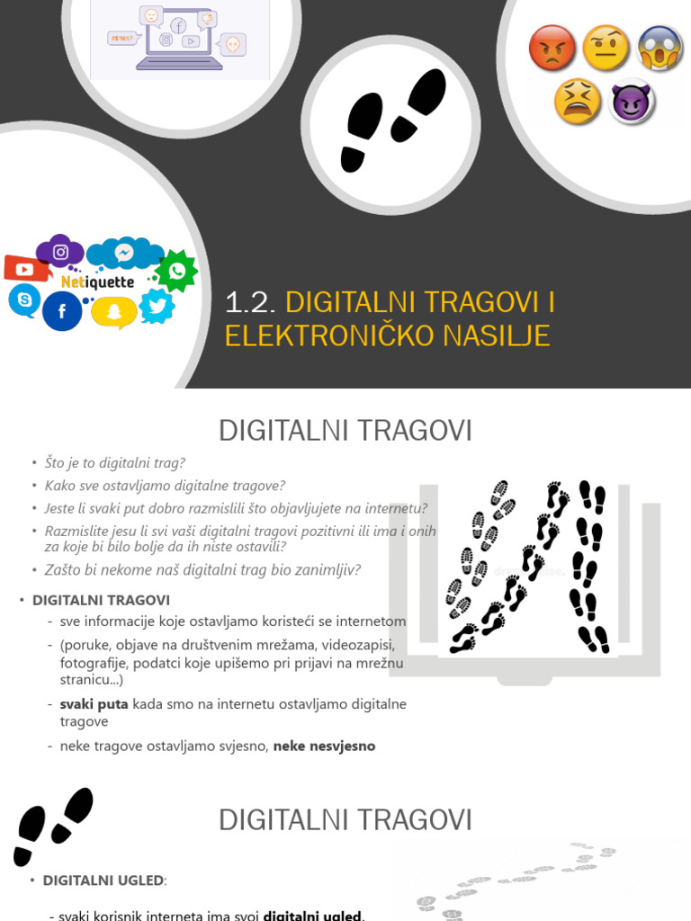 Digitalni Tragovi I Elektroničko Nasilje | PDF