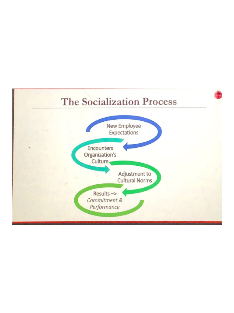 The Socialization Process | PDF