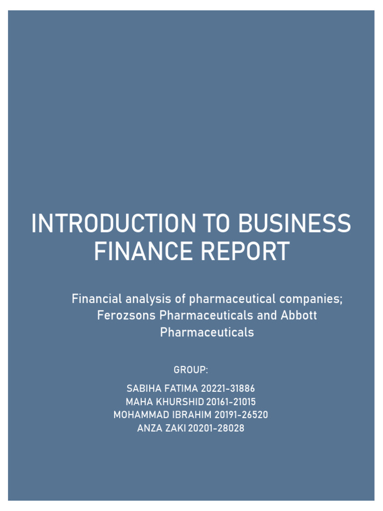 Introduction To Business Finance Report | PDF | Investing | Margin ...