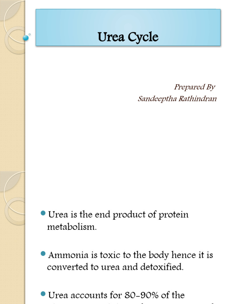 Understanding the Urea Cycle Process | PDF | Self-Improvement | Wellness