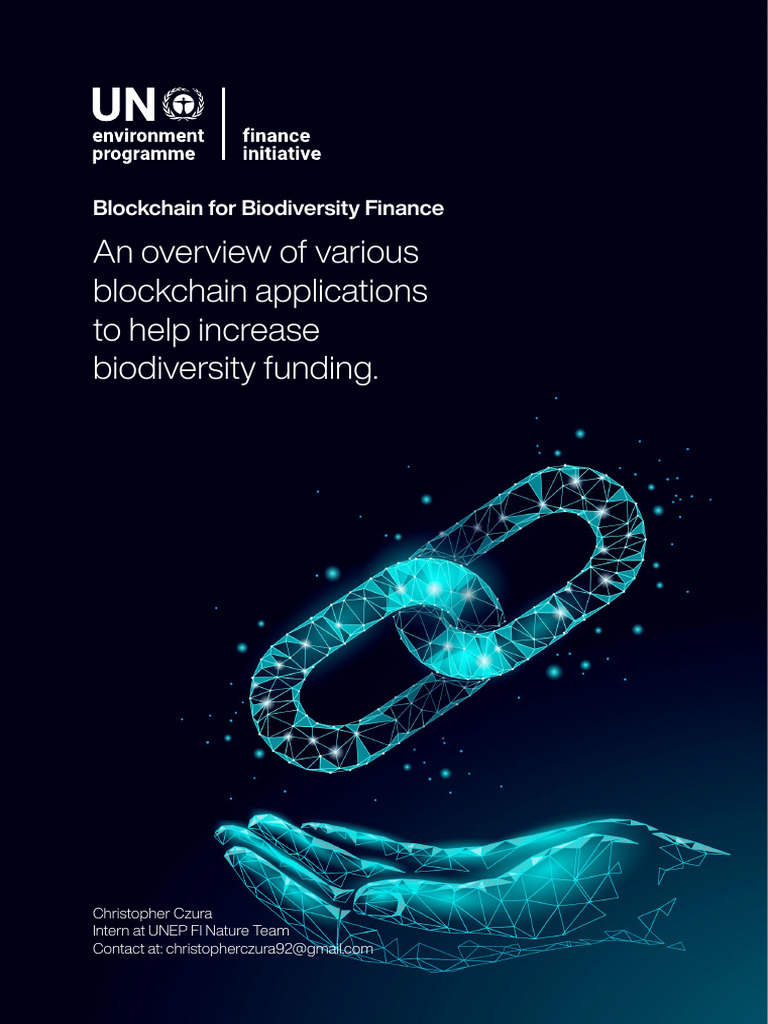 UN Environment Programme - An Overview of Various Blockchain Applications To Help Increase ...
